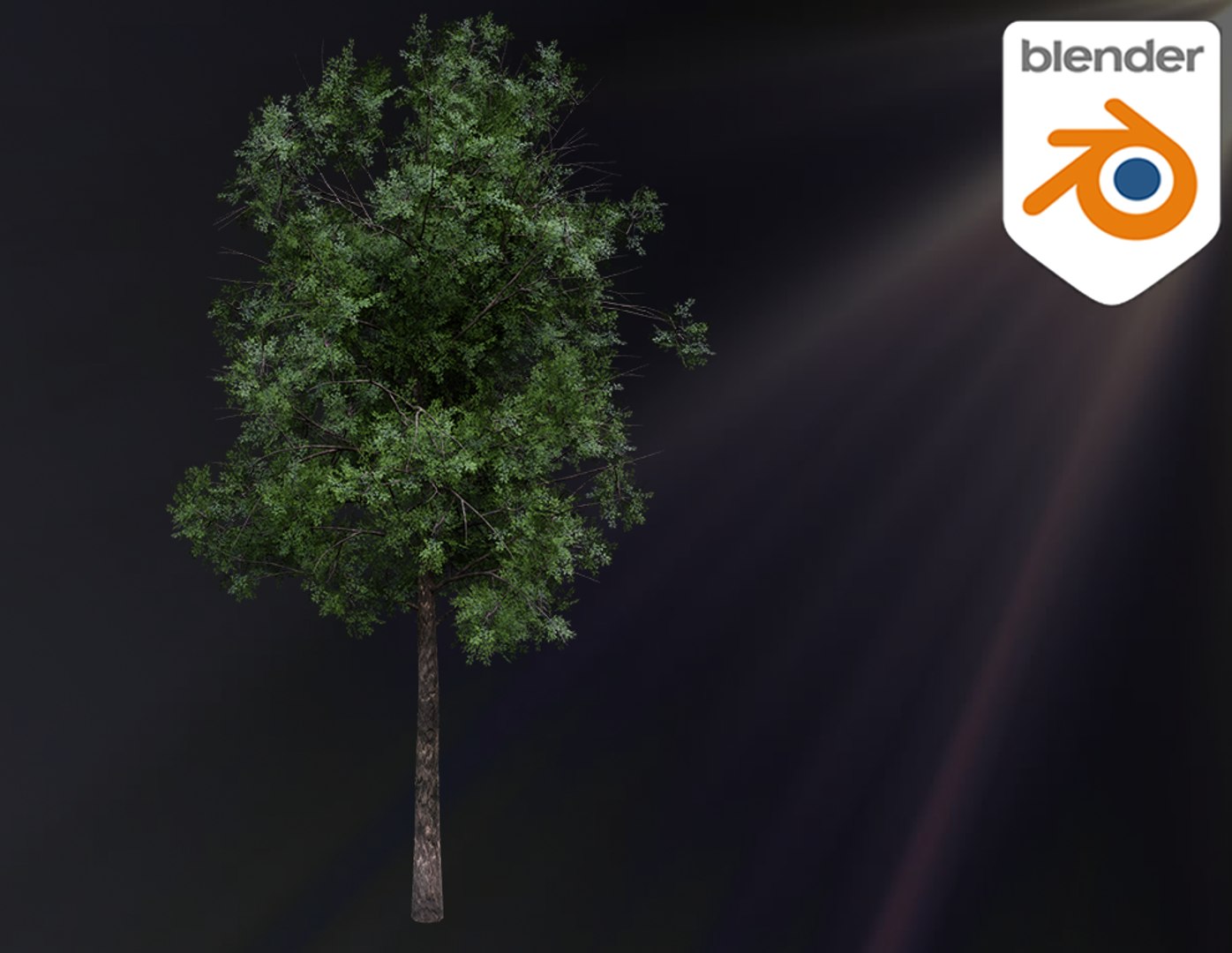 3D Realistic Animated Tree Pack Blender 3 Model - TurboSquid 1850656