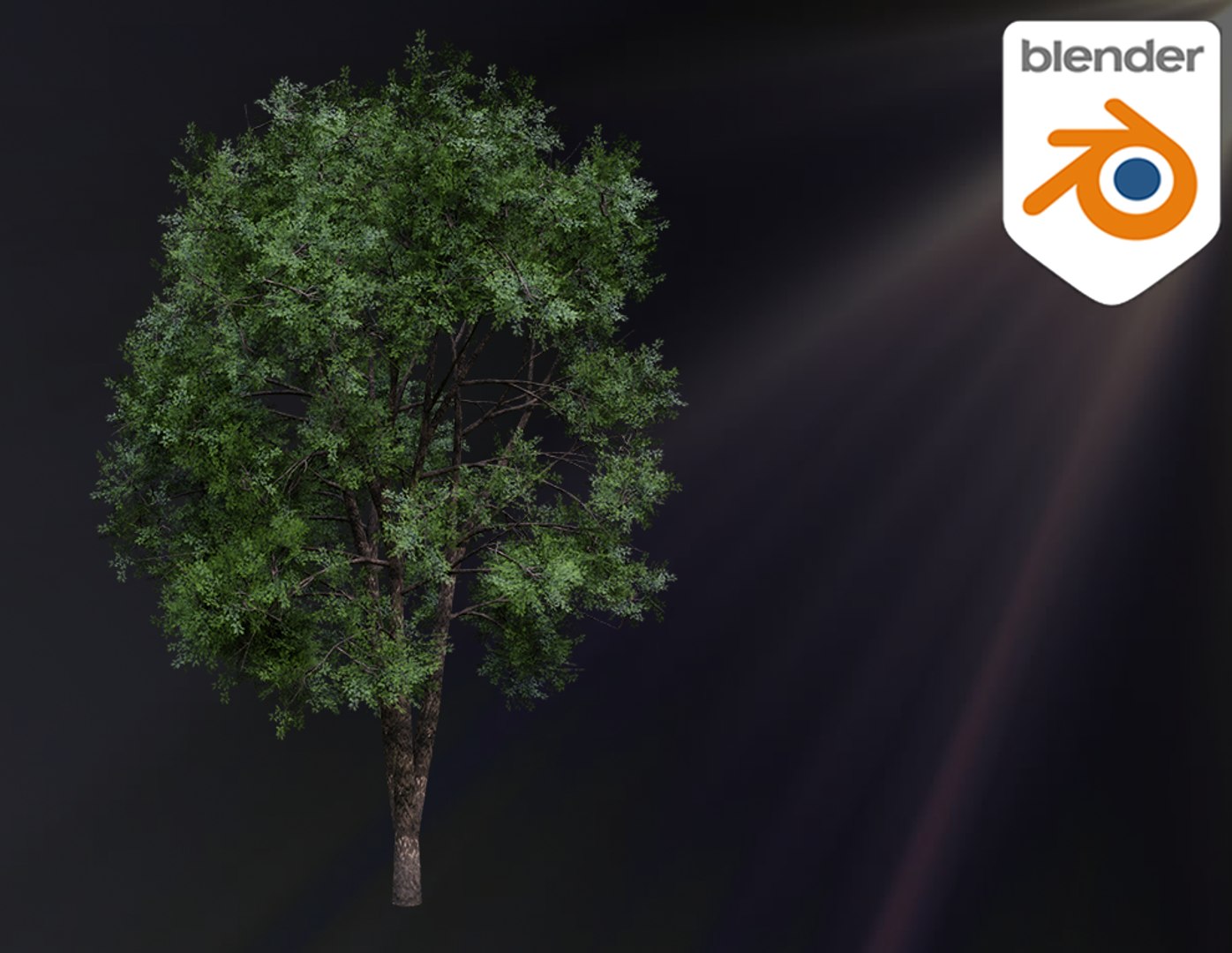 3D Realistic Animated Tree Pack Blender 3 Model - TurboSquid 1850656