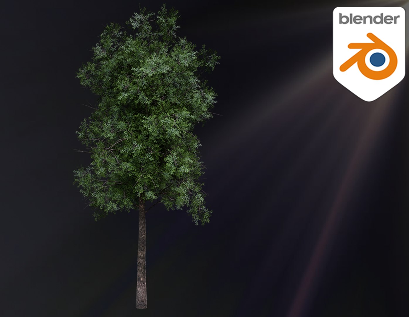 3D Realistic Animated Tree Pack Blender 3 Model - TurboSquid 1850656