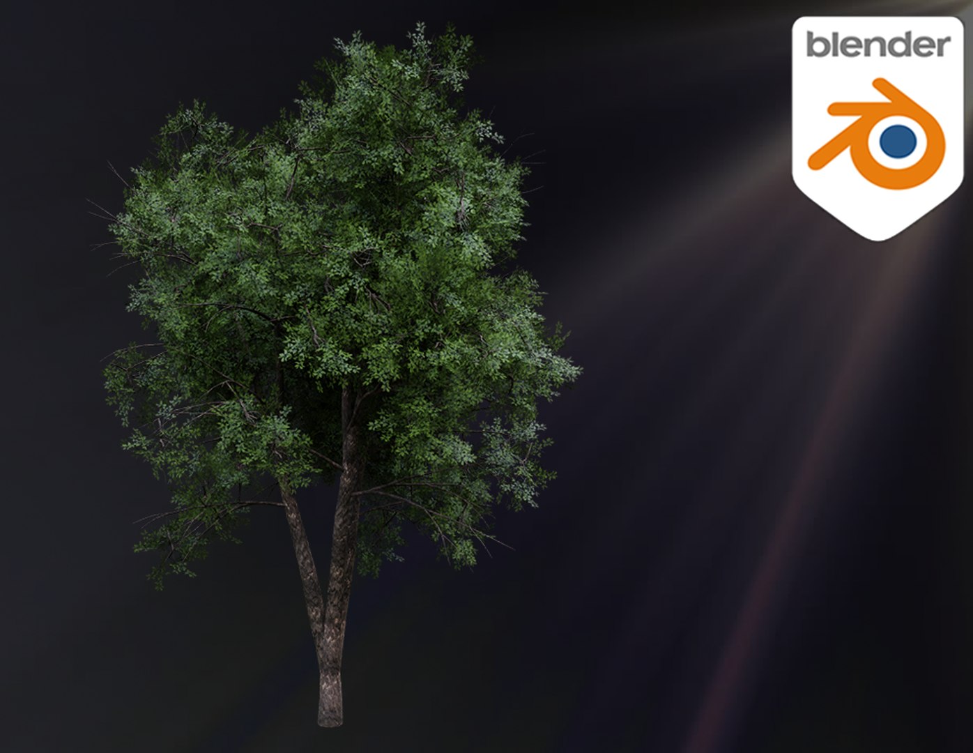 3D Realistic Animated Tree Pack Blender 3 Model - TurboSquid 1850656