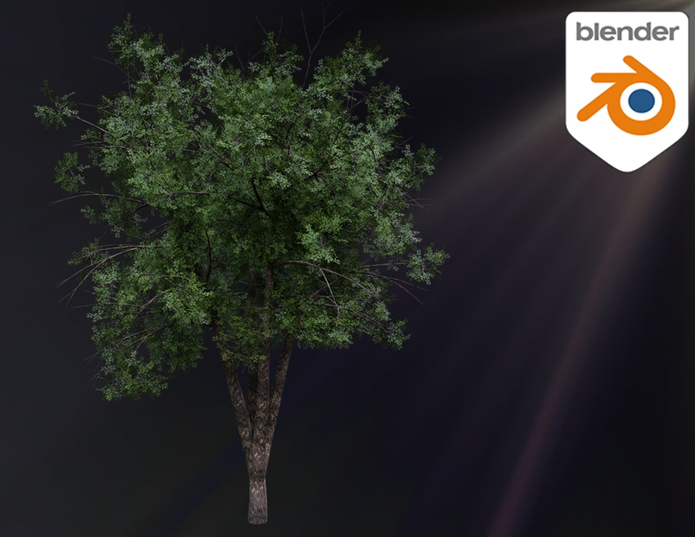 3D Realistic Animated Tree Pack Blender 3 Model - TurboSquid 1850656