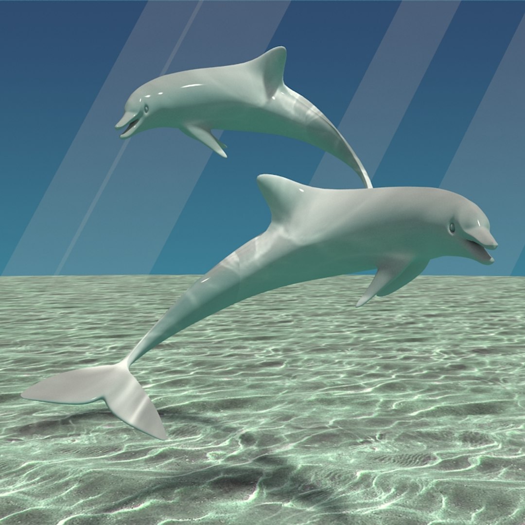 3D model dolphin scene - TurboSquid 1226037