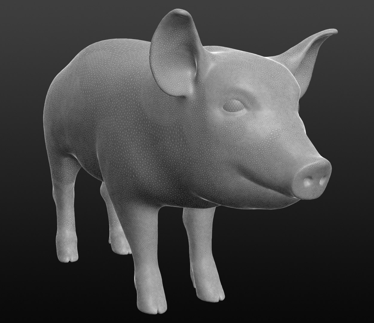 3D piggy base mesh model - TurboSquid 1412331