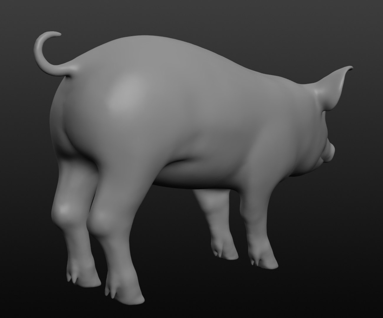 3D piggy base mesh model - TurboSquid 1412331