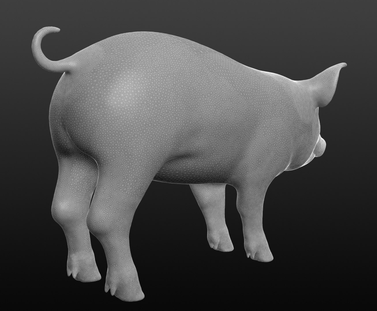 3D piggy base mesh model - TurboSquid 1412331