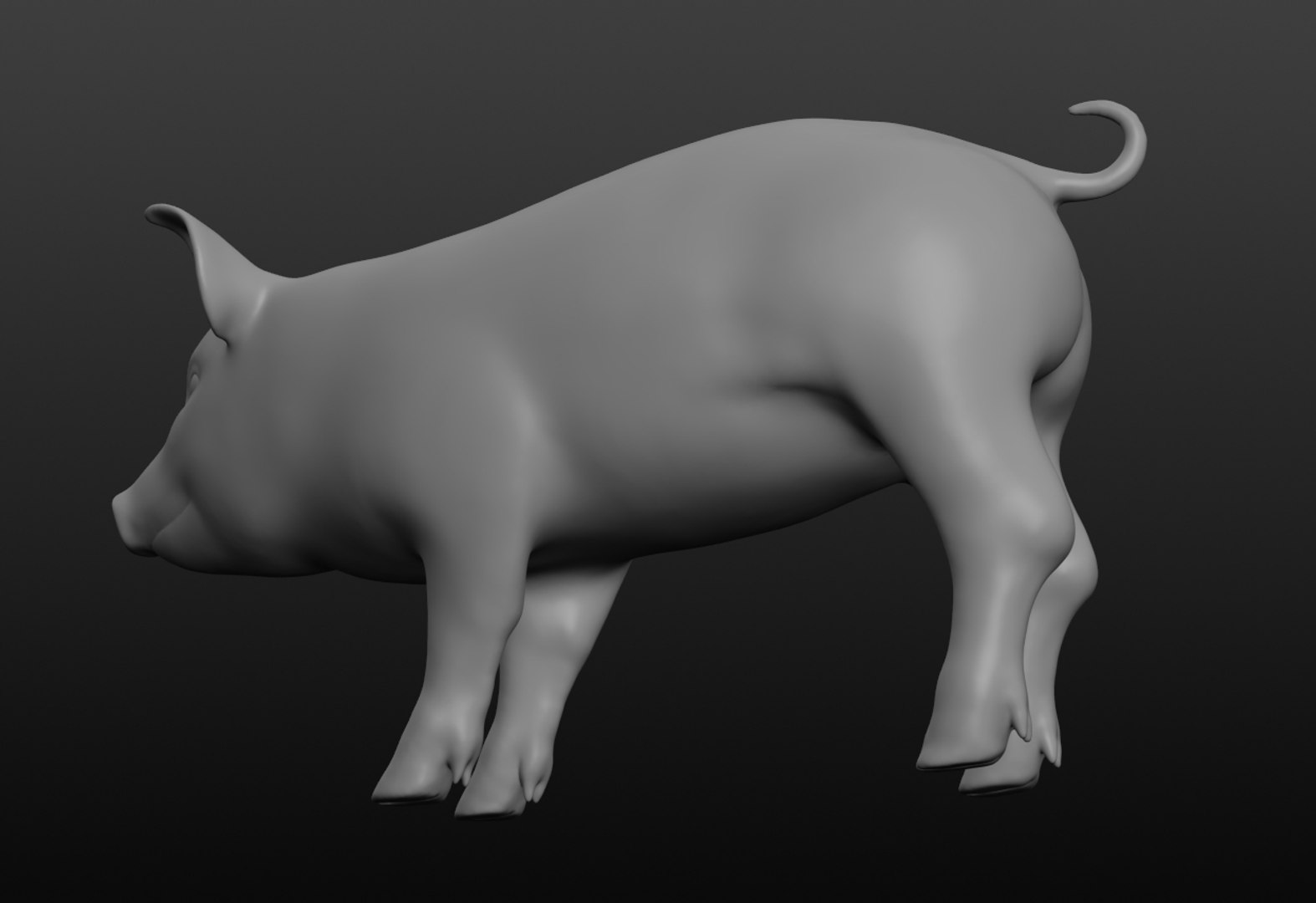 3D piggy base mesh model - TurboSquid 1412331