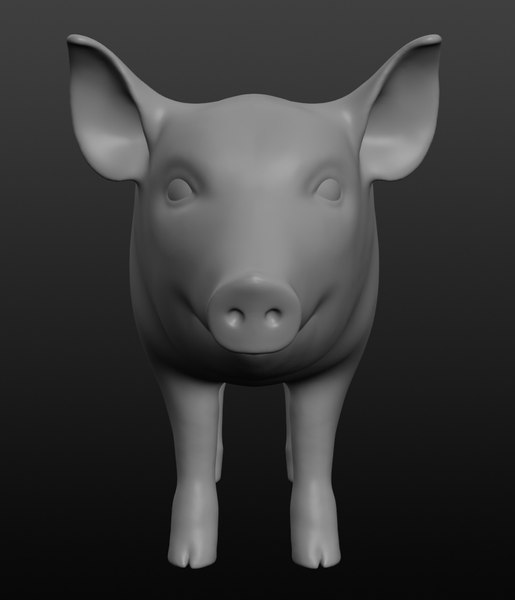 3D piggy base mesh model - TurboSquid 1412331