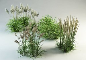 3d grass model