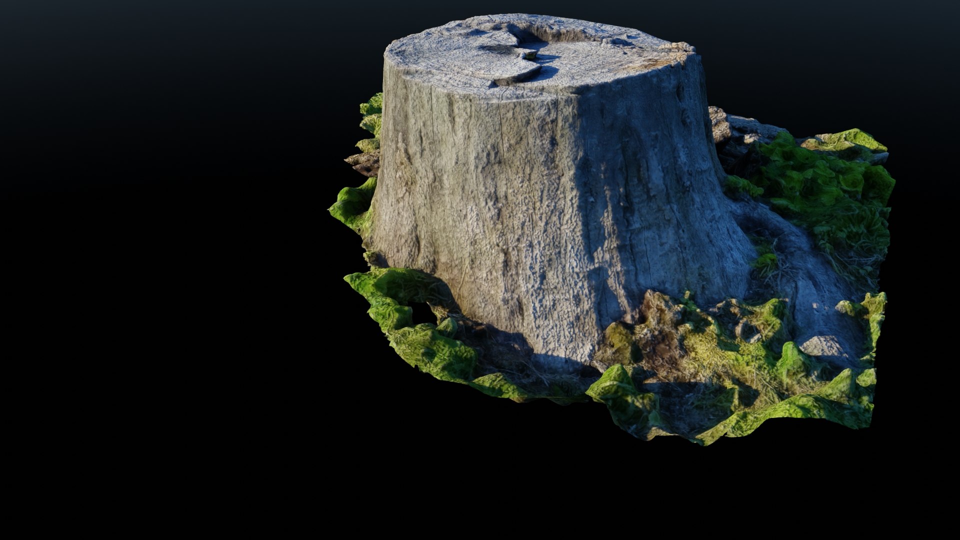 3D Model Tree Stump 2 - TurboSquid 1963643