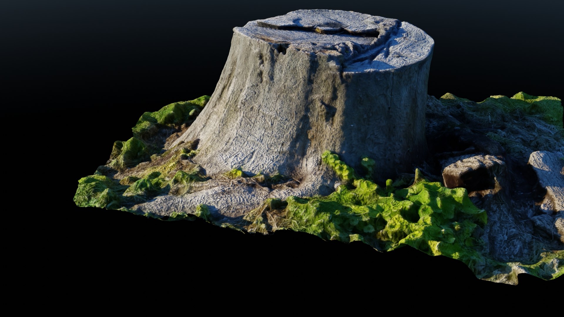 3D Model Tree Stump 2 - TurboSquid 1963643