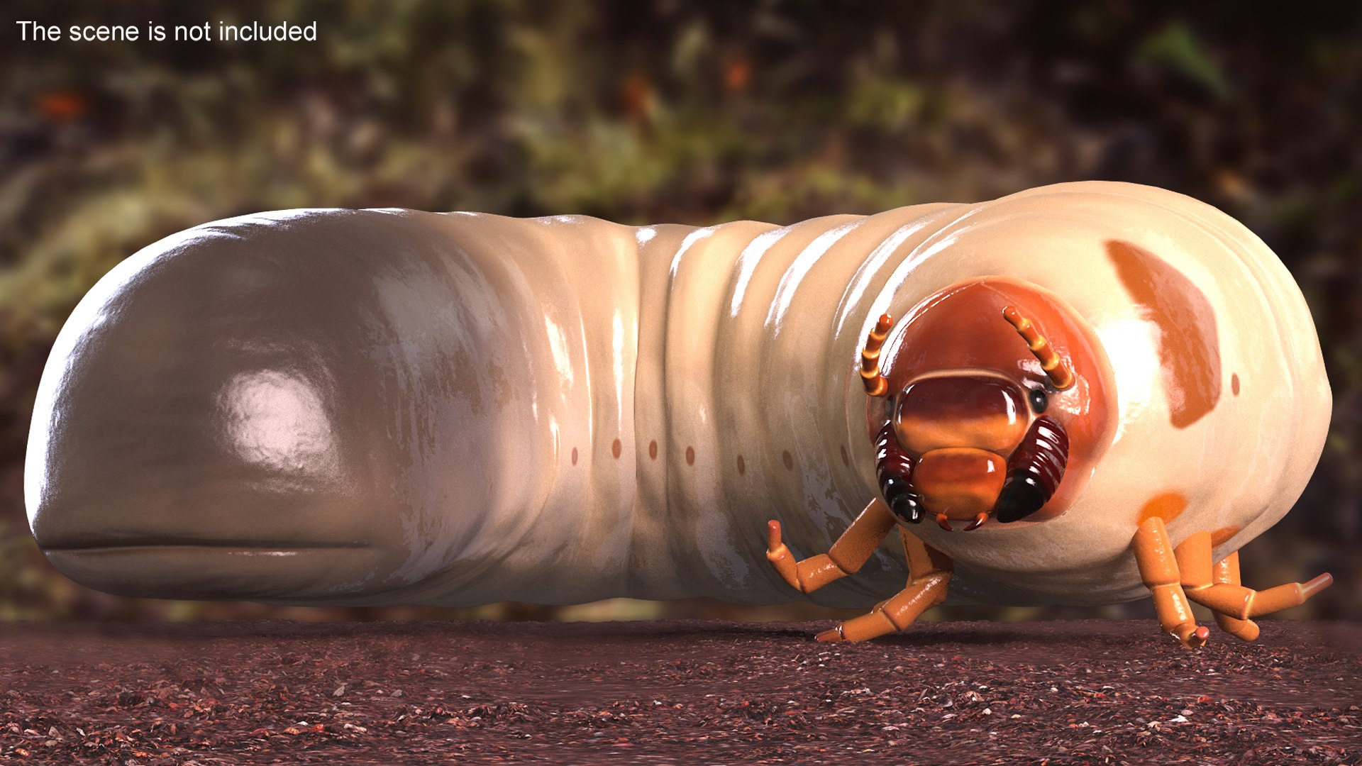 Maggot May Bug Rigged For Maya 3D Model - TurboSquid 2179031