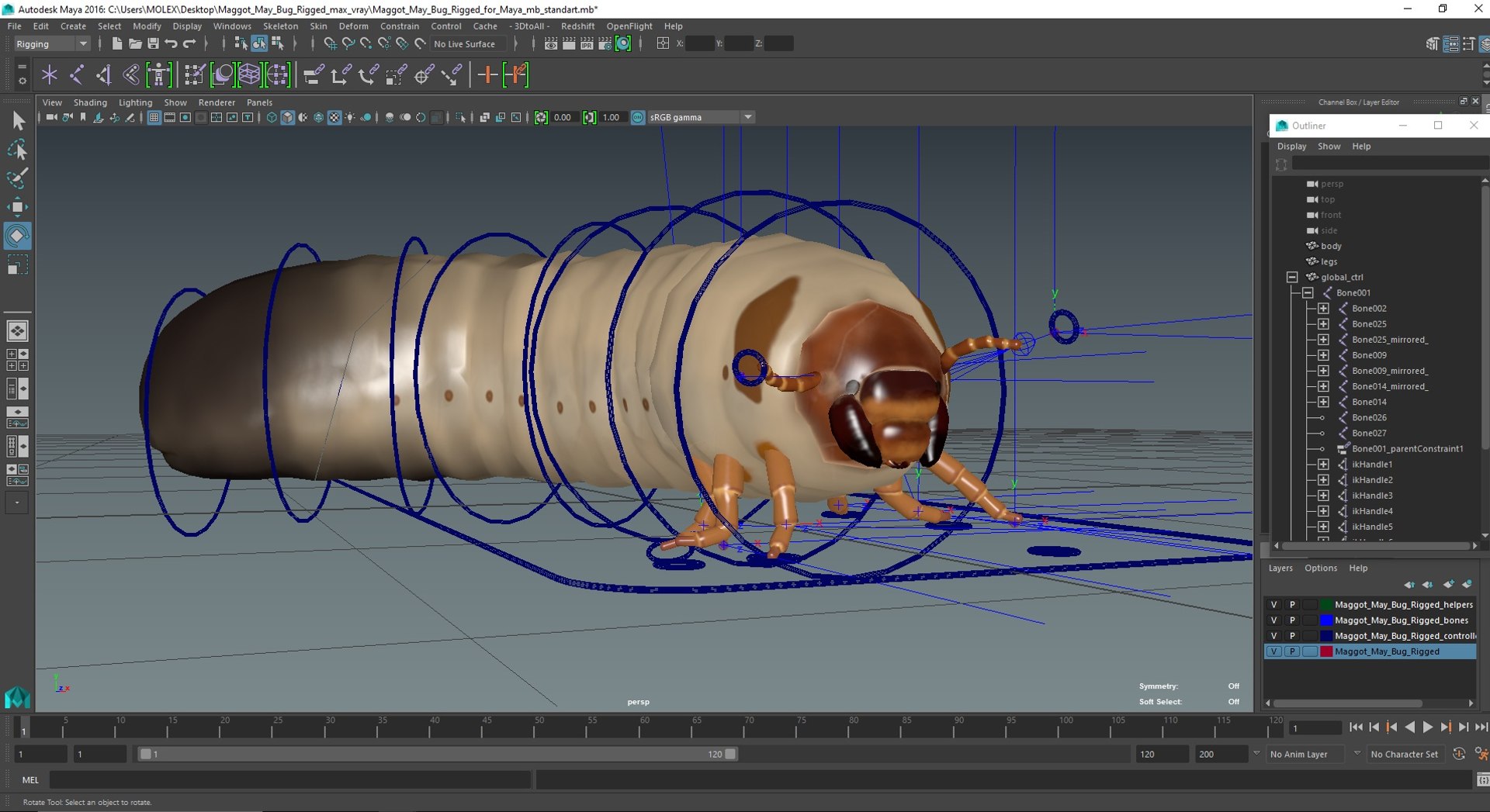 Maggot May Bug Rigged For Maya 3D Model - TurboSquid 2179031
