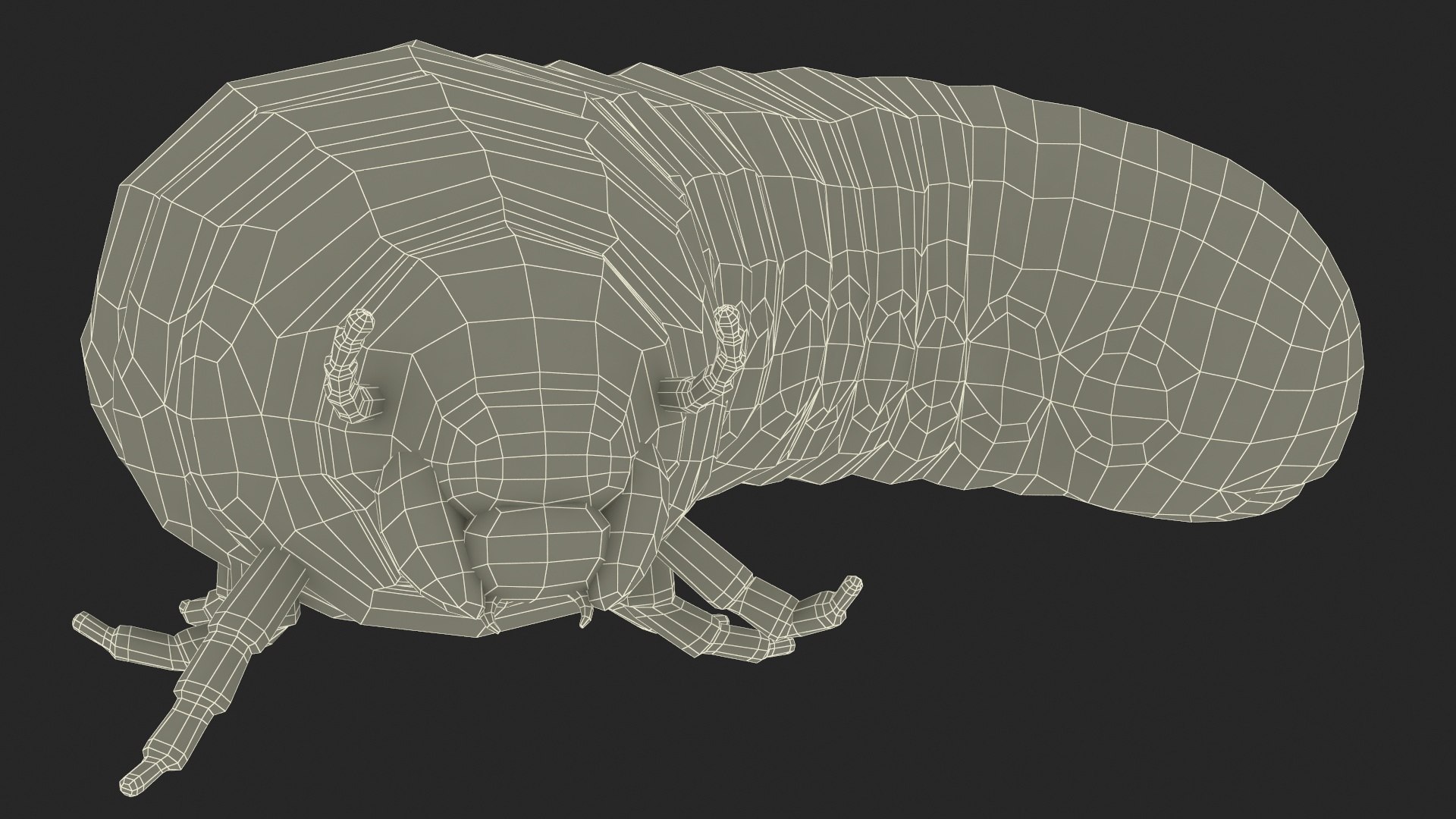 Maggot May Bug Rigged For Maya 3D Model - TurboSquid 2179031