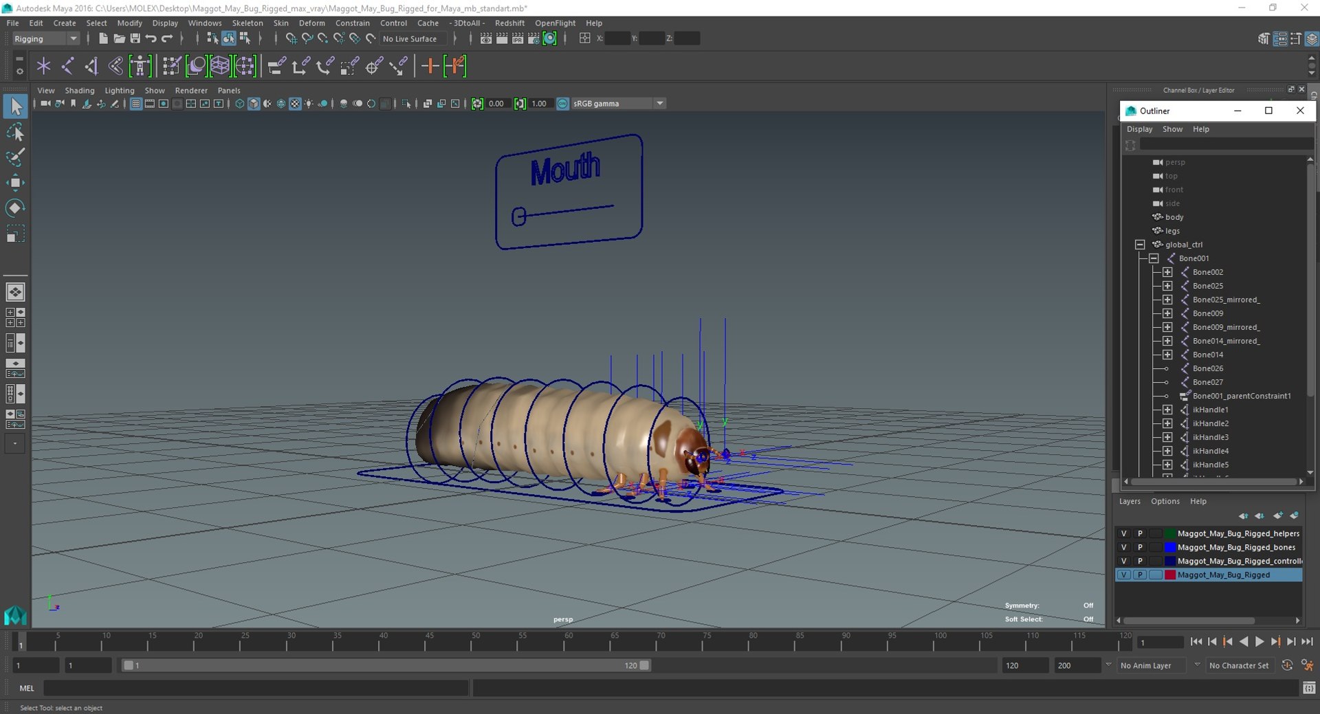 Maggot May Bug Rigged for Maya 3D model - TurboSquid 2179031