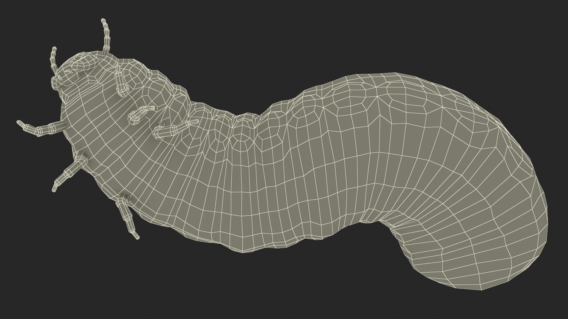 Maggot May Bug Rigged for Maya 3D model - TurboSquid 2179031