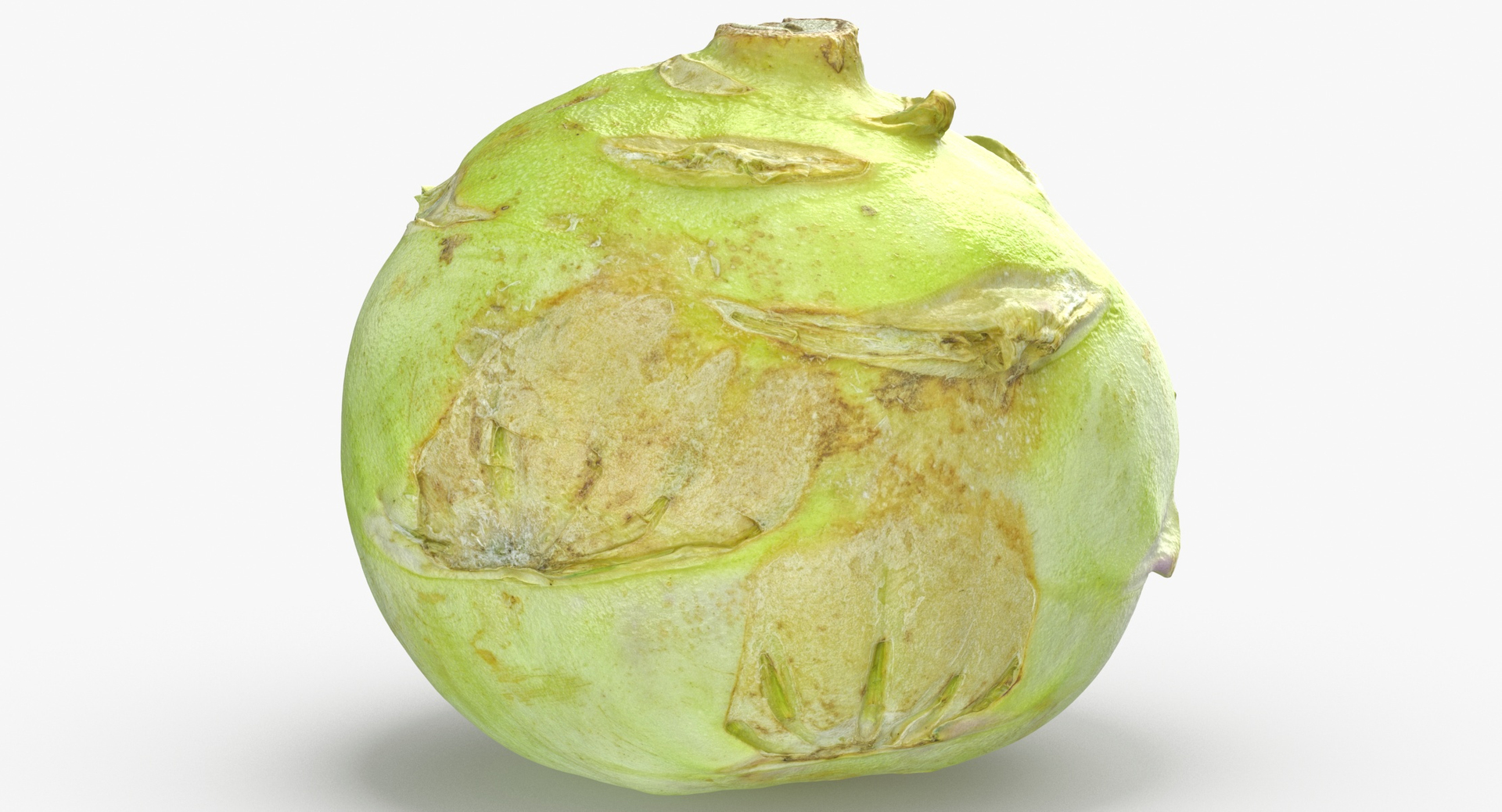 3D model kohlrabi german turnip 02 - TurboSquid 1572055