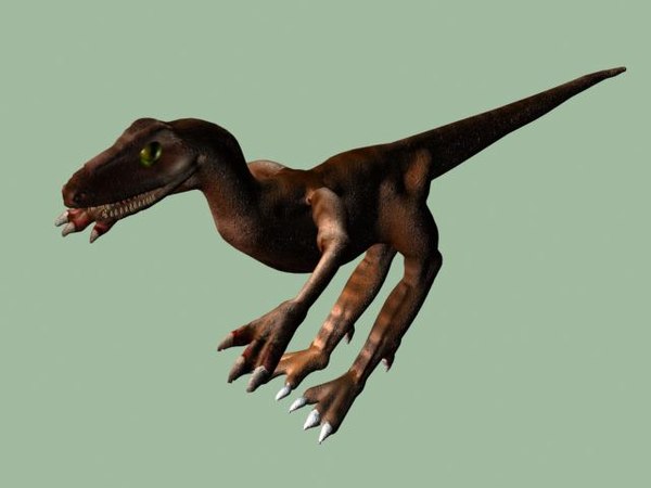 velociraptor dinosaur 3d model