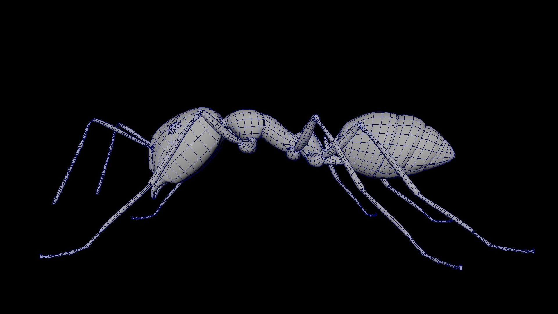 3D Ant Lowpoly Model - TurboSquid 1714358