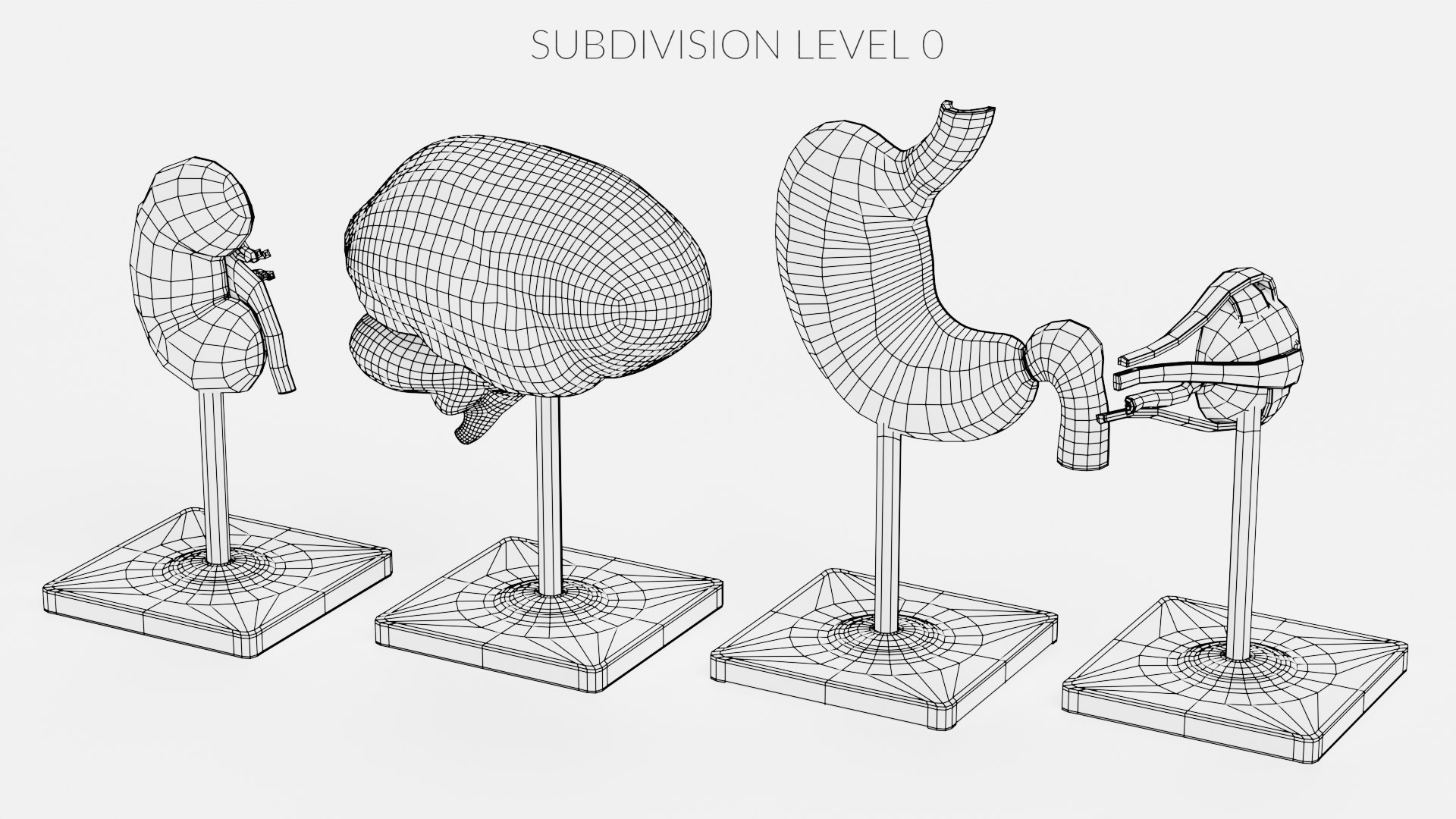 Anatomy Models Sections 3D model - TurboSquid 2026493