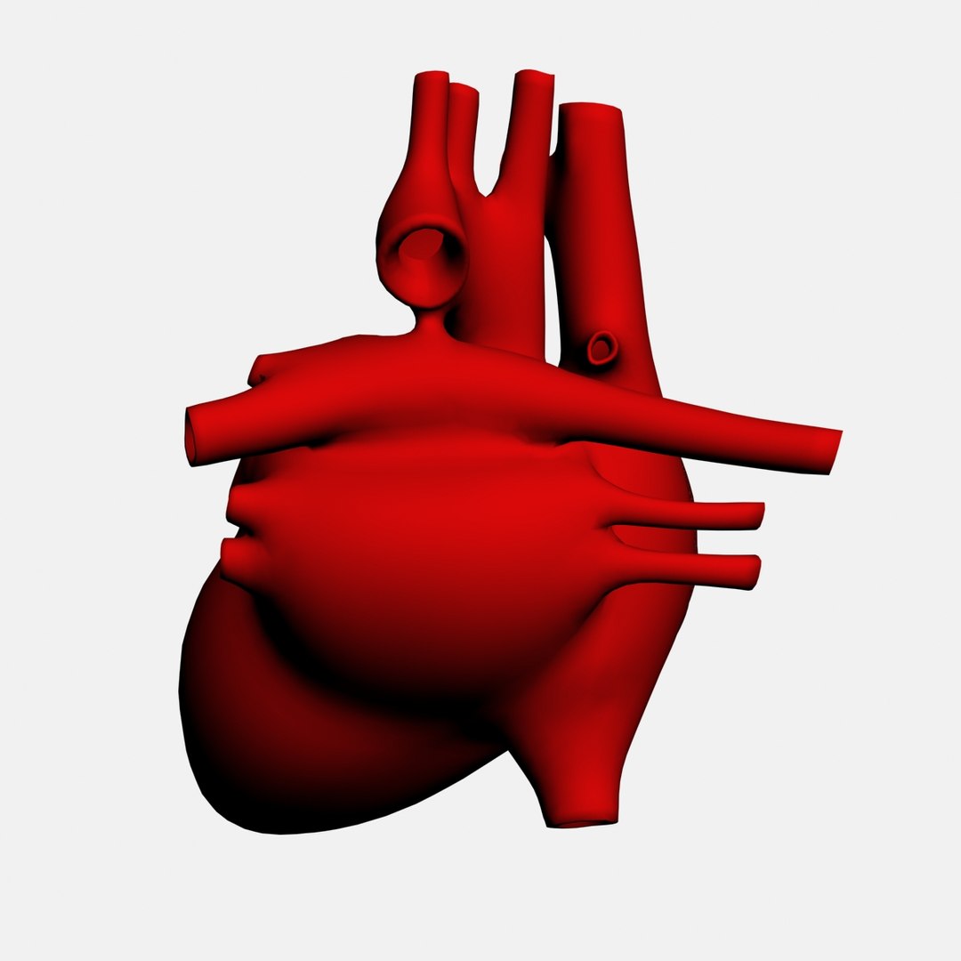 human heart 3d 3ds