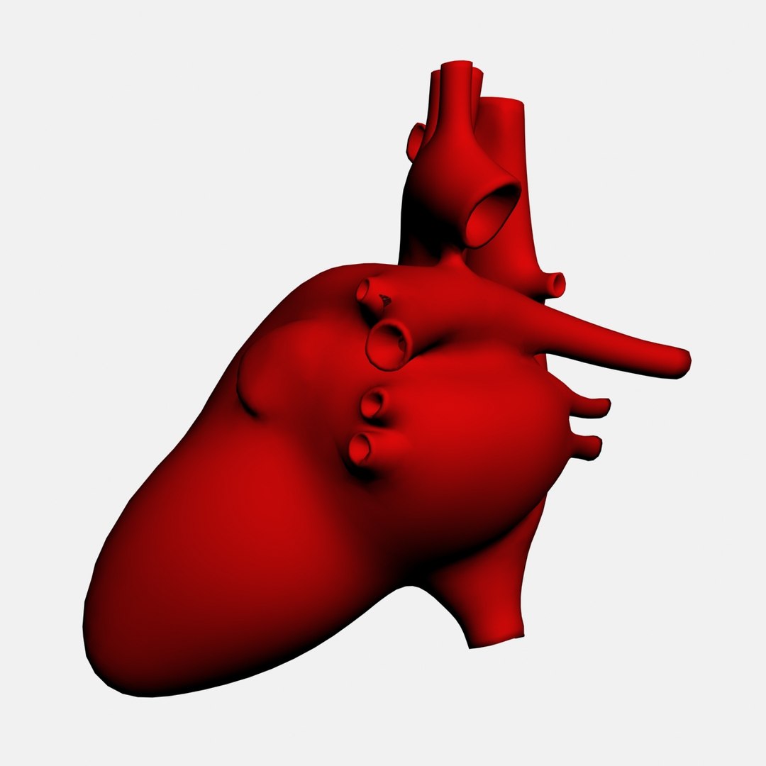 human heart 3d 3ds