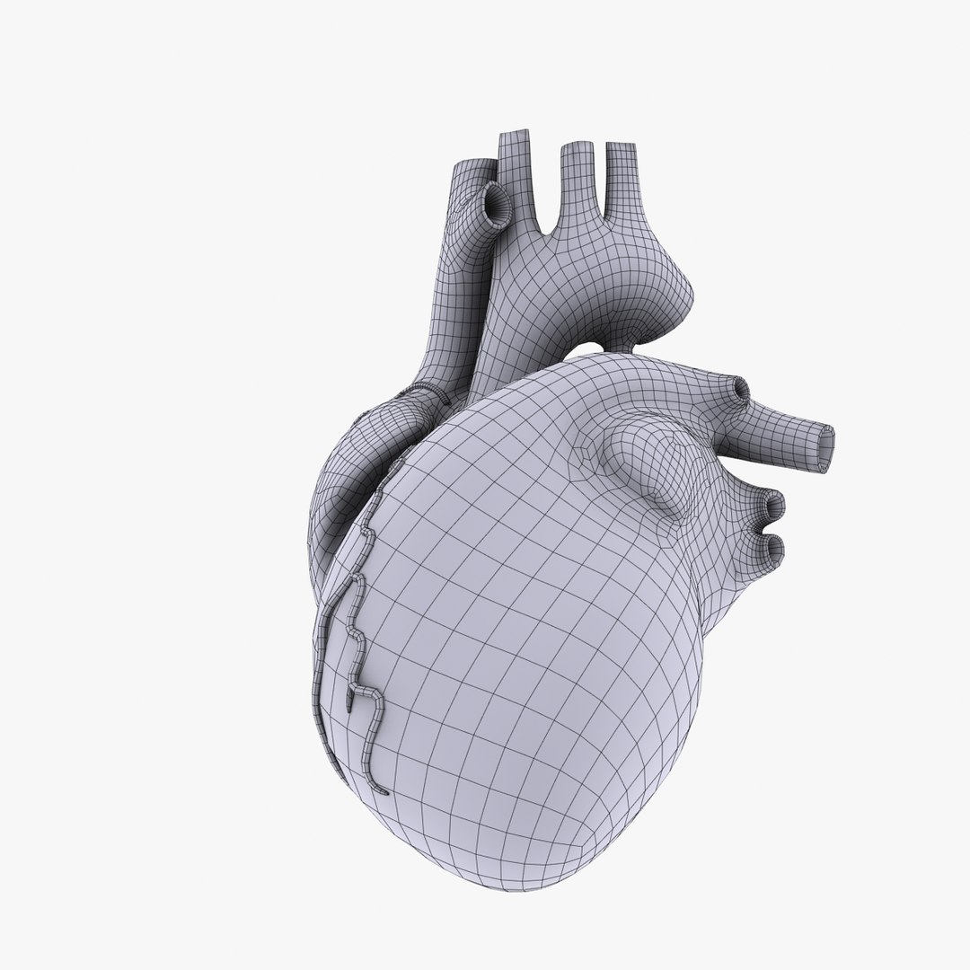 human heart 3d 3ds