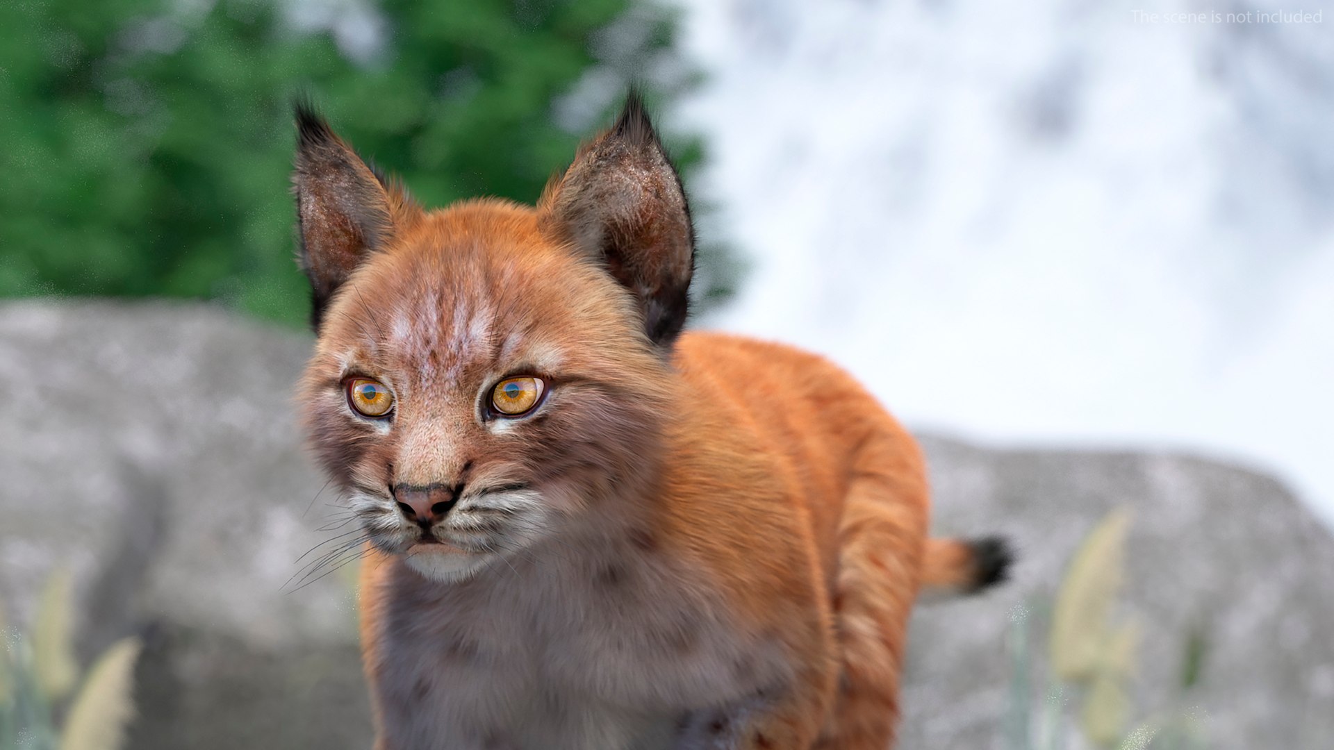 Lynx Cub Fur Rigged 3D Model - TurboSquid 2359135