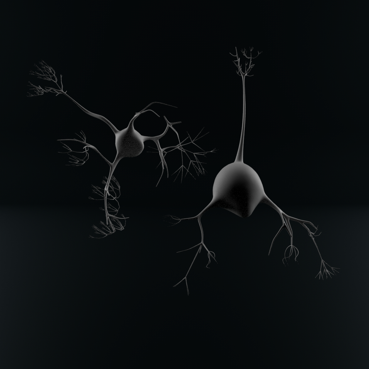 3D neuron - TurboSquid 1247185