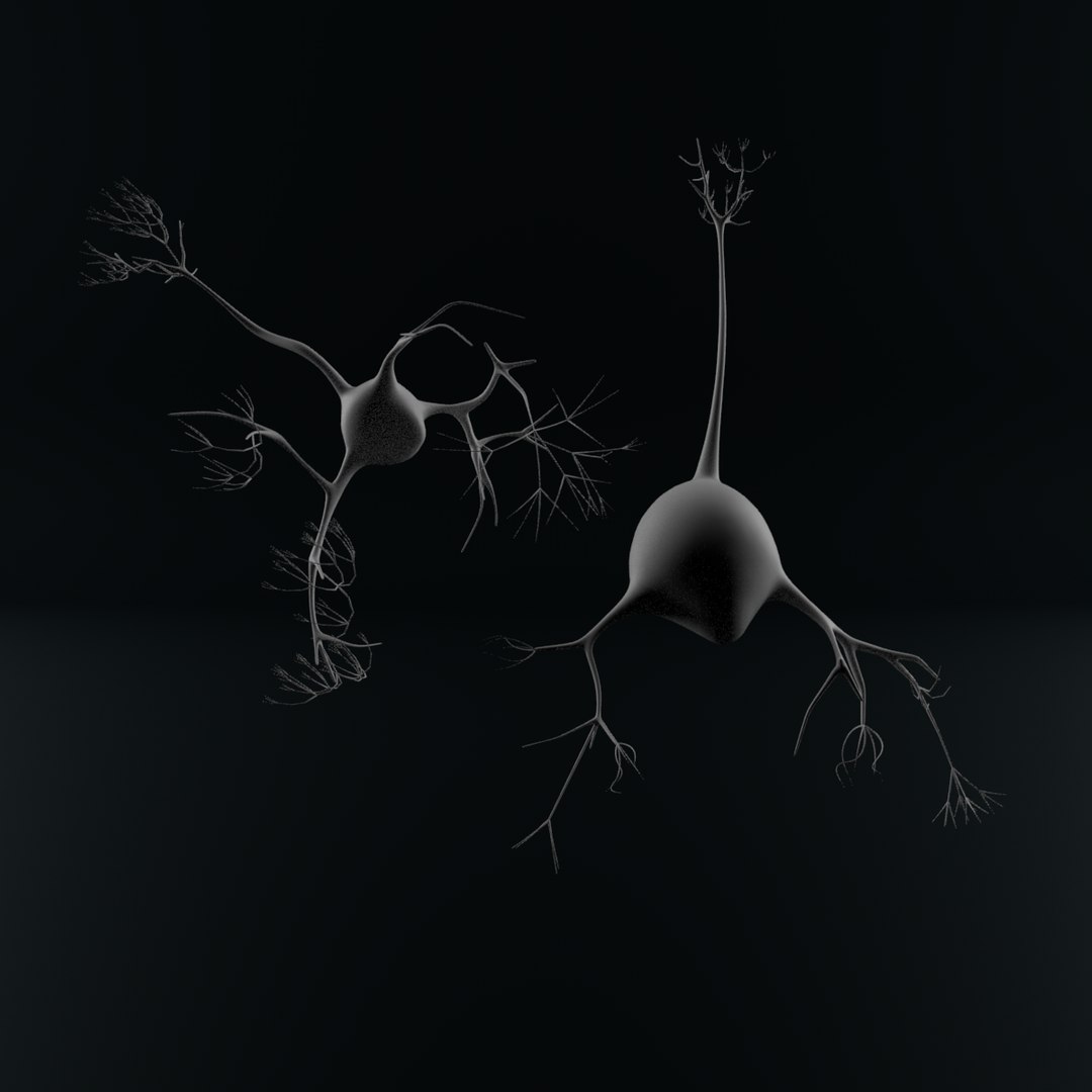 3D Neuron - TurboSquid 1247185
