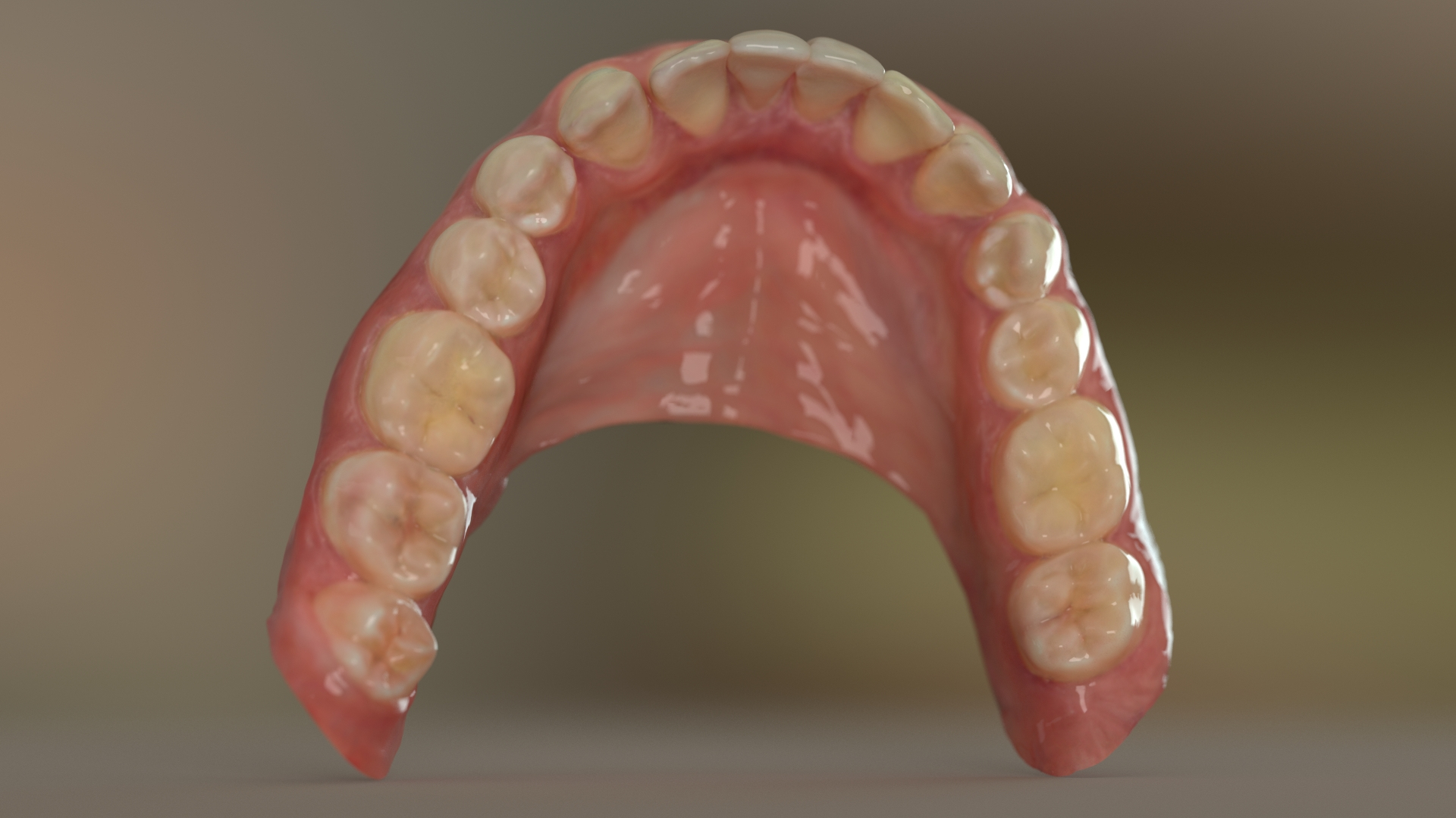 3D Model Dentures D - TurboSquid 1803744