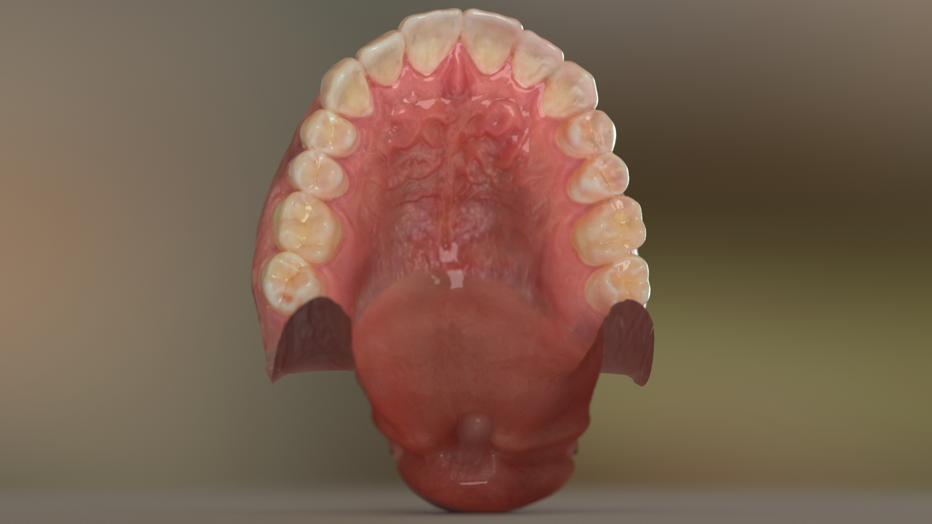 3D Model Dentures D - TurboSquid 1803744