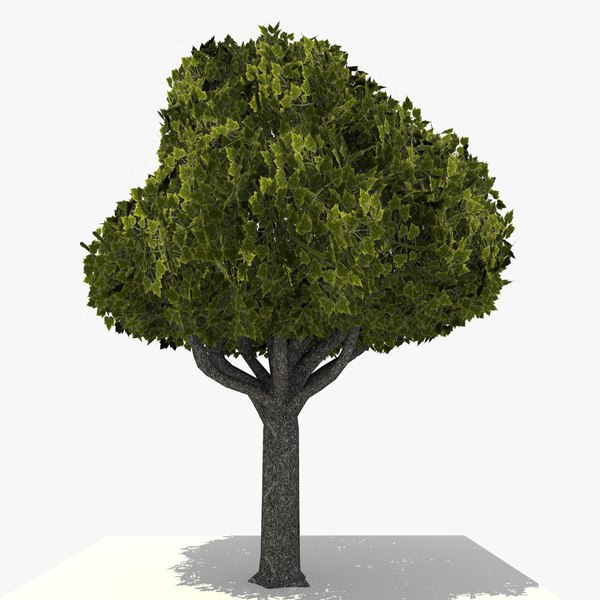 Deciduous Tree 3D Models for Download | TurboSquid