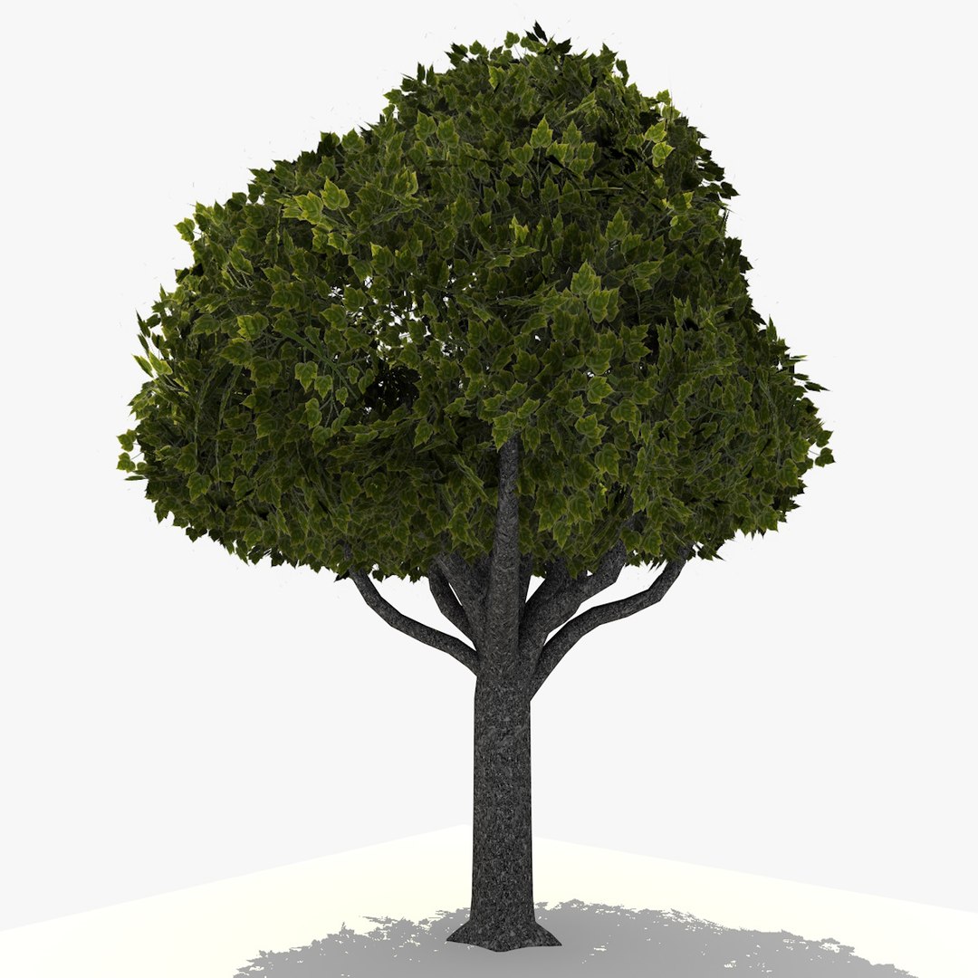 3dsmax Tree Ready Dae