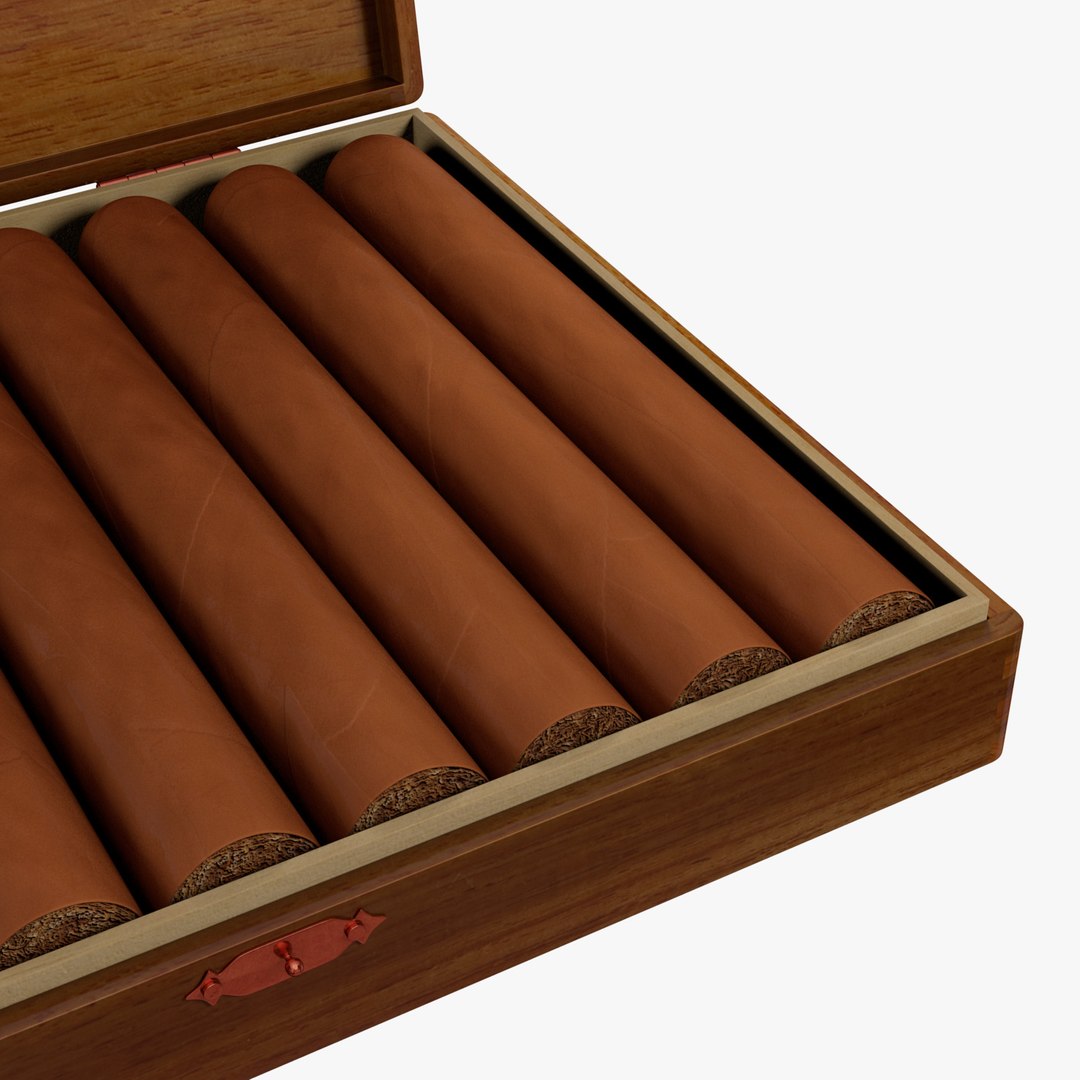 3d Model Cigar Box