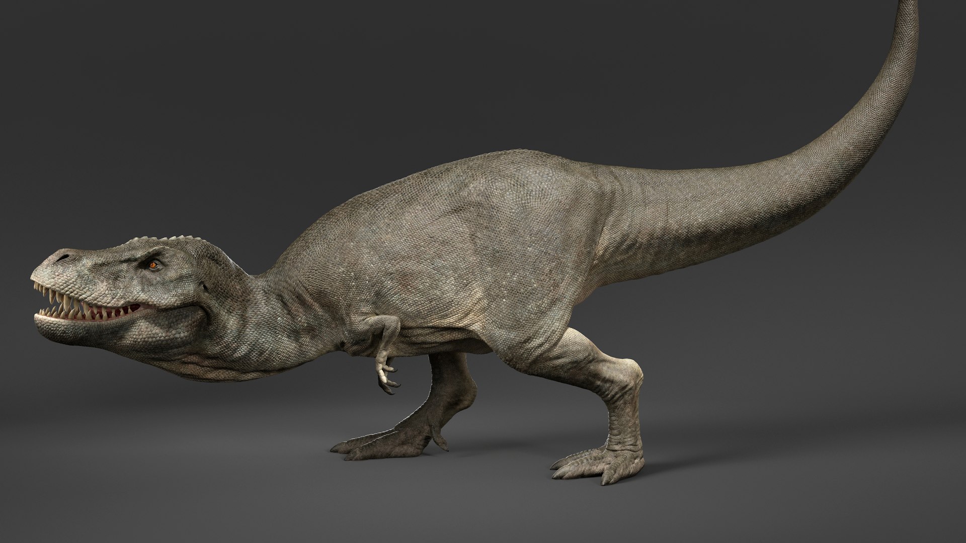 3D tyrannosaurus rig animation rex - TurboSquid 1514965