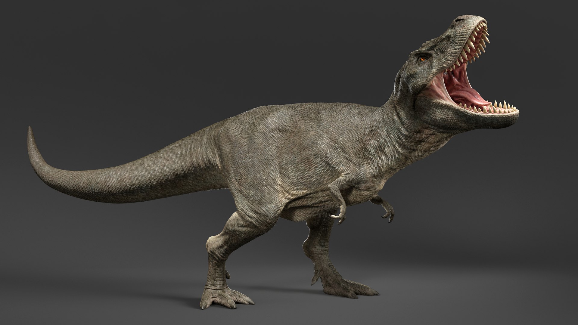 3D Tyrannosaurus Rig Animation Rex - TurboSquid 1514965