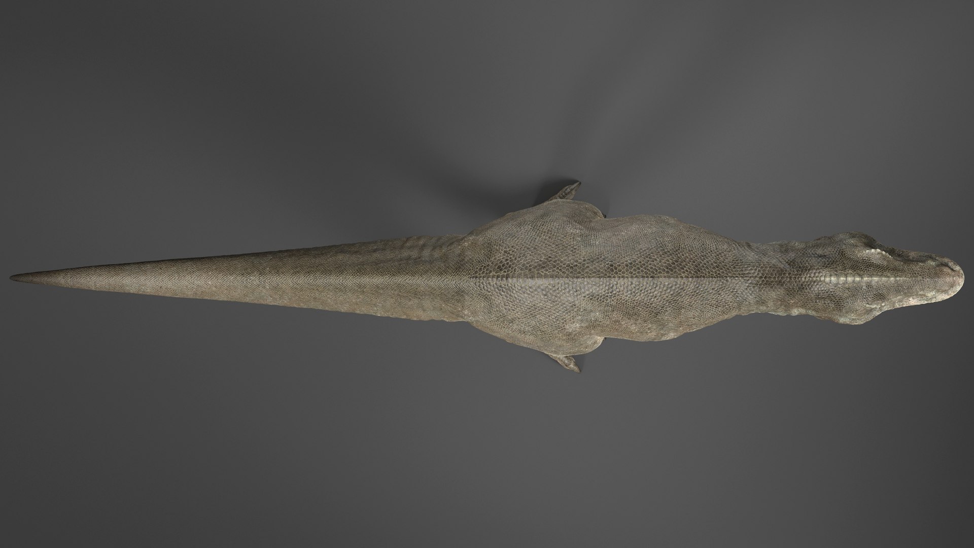 3D tyrannosaurus rig animation rex - TurboSquid 1514965