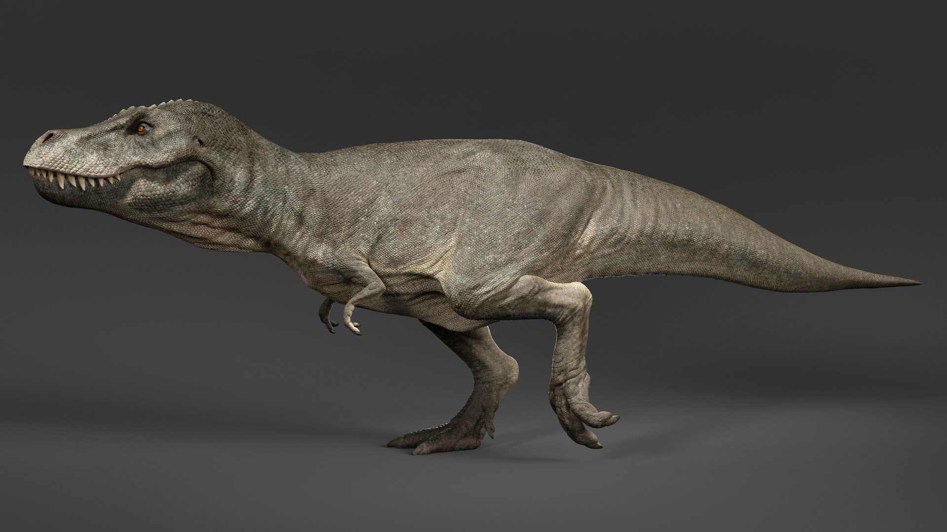 3D Tyrannosaurus Rig Animation Rex - TurboSquid 1514965