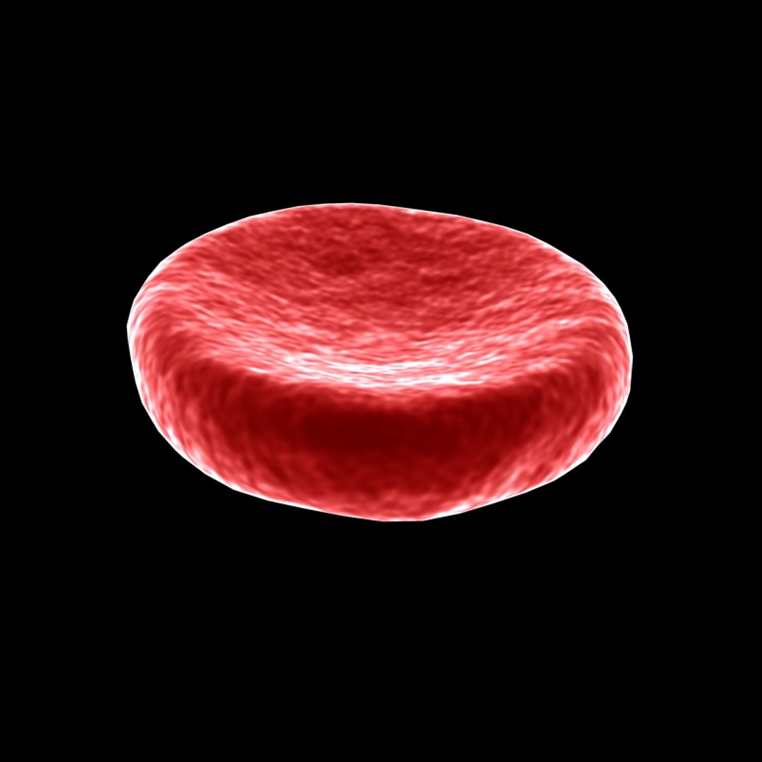 Blood Cell 3d Model