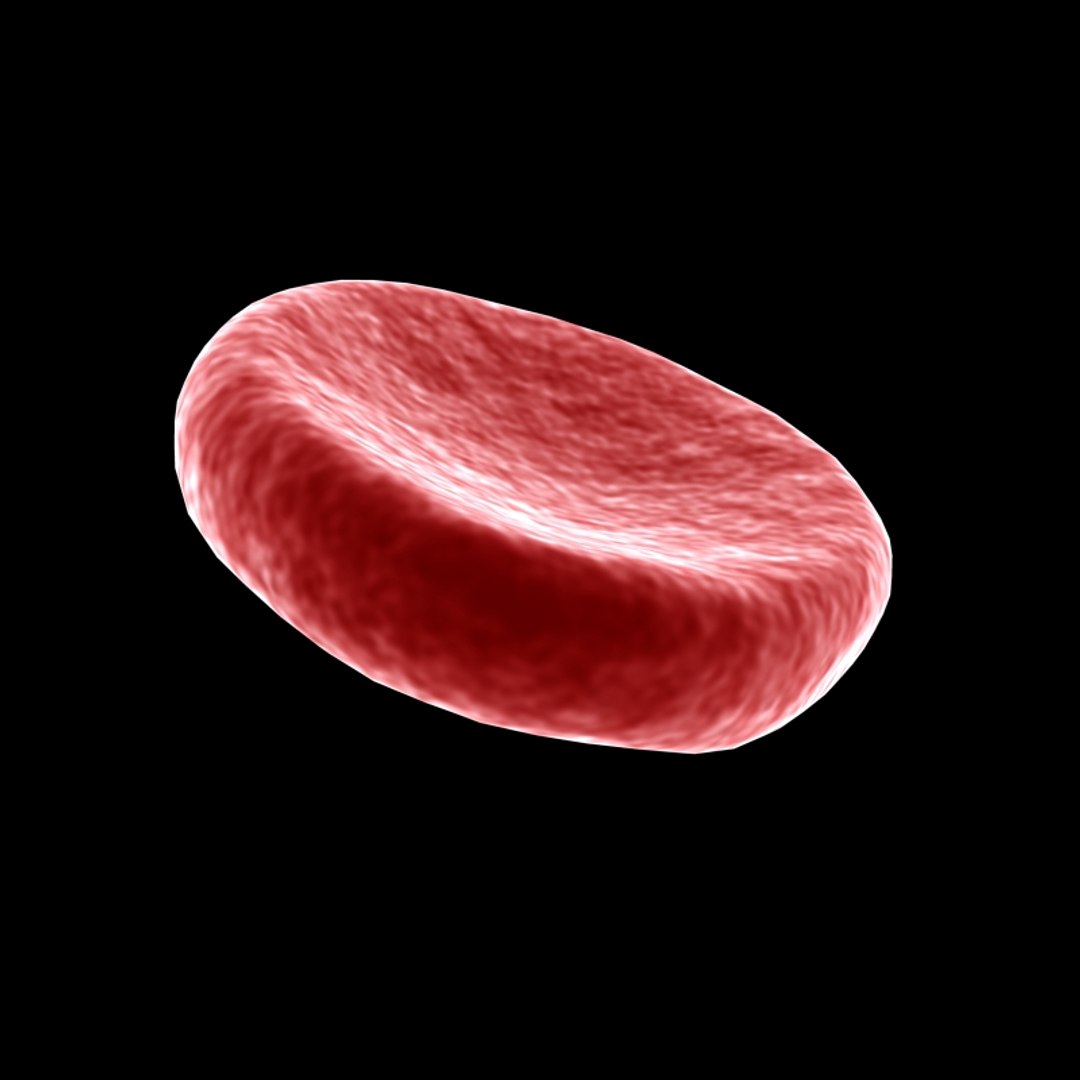 Blood Cell 3d Model