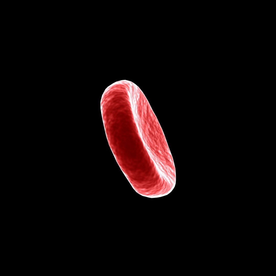 Blood Cell 3d Model