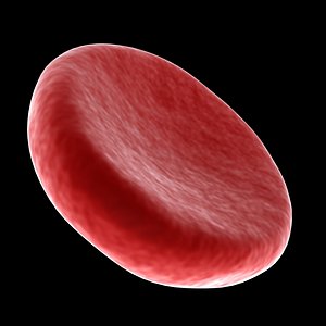 Cell 3D Models for Download | TurboSquid