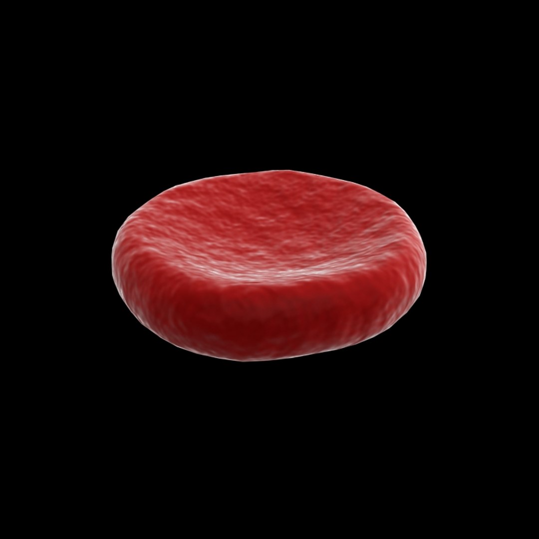 Blood Cell 3d Model
