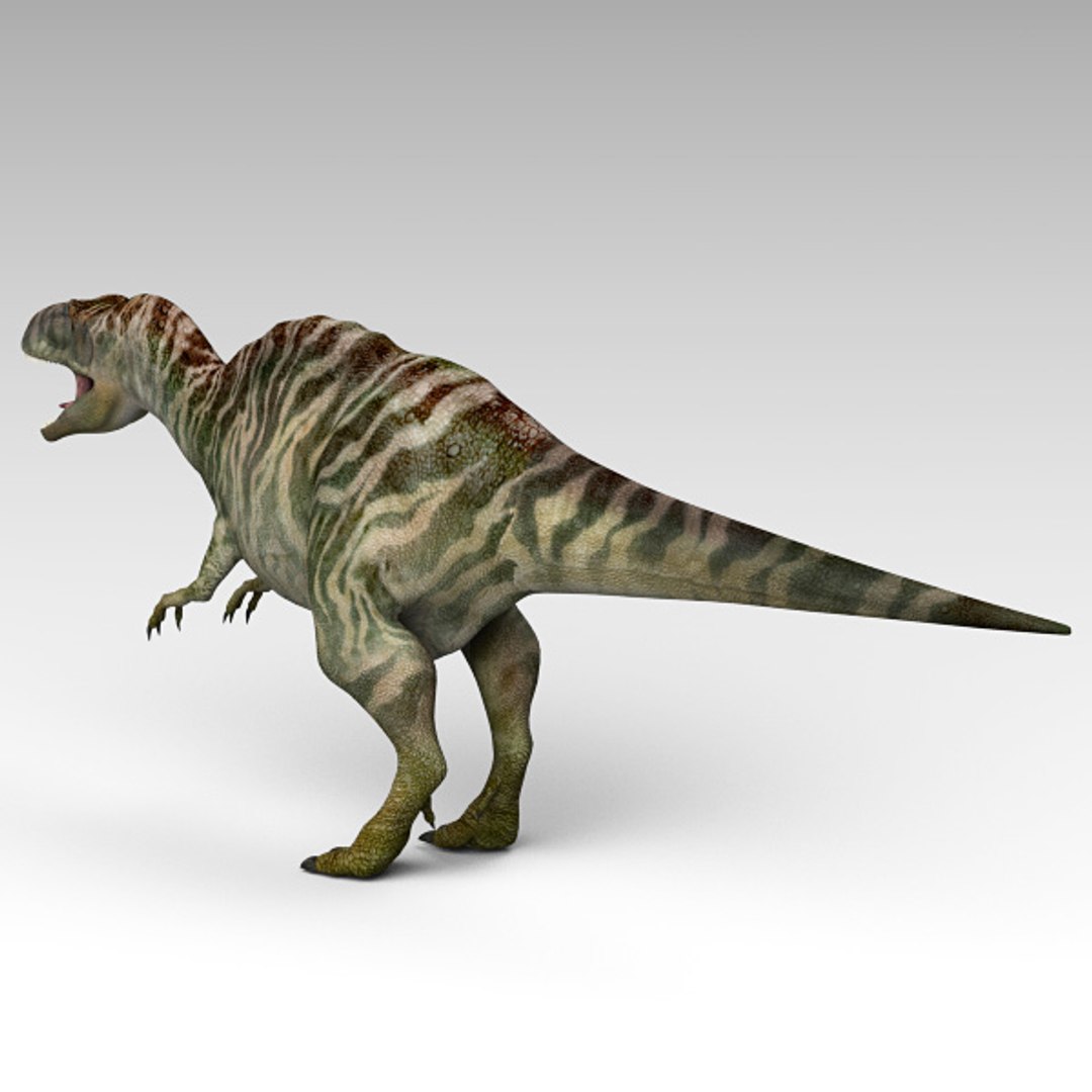 3D Model Albertosaurus Acrocanthosaurus - TurboSquid 1336565