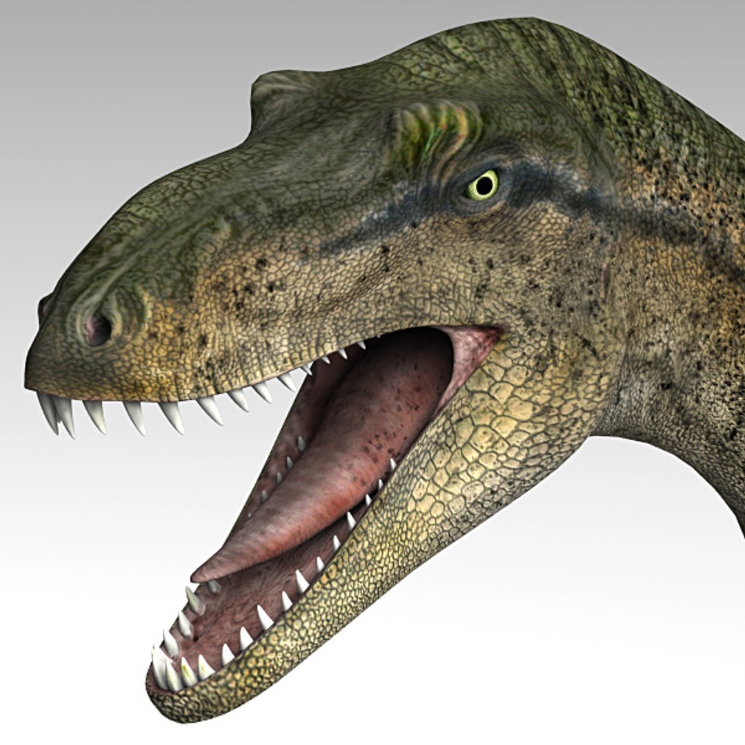 3D Model Albertosaurus Acrocanthosaurus - TurboSquid 1336565