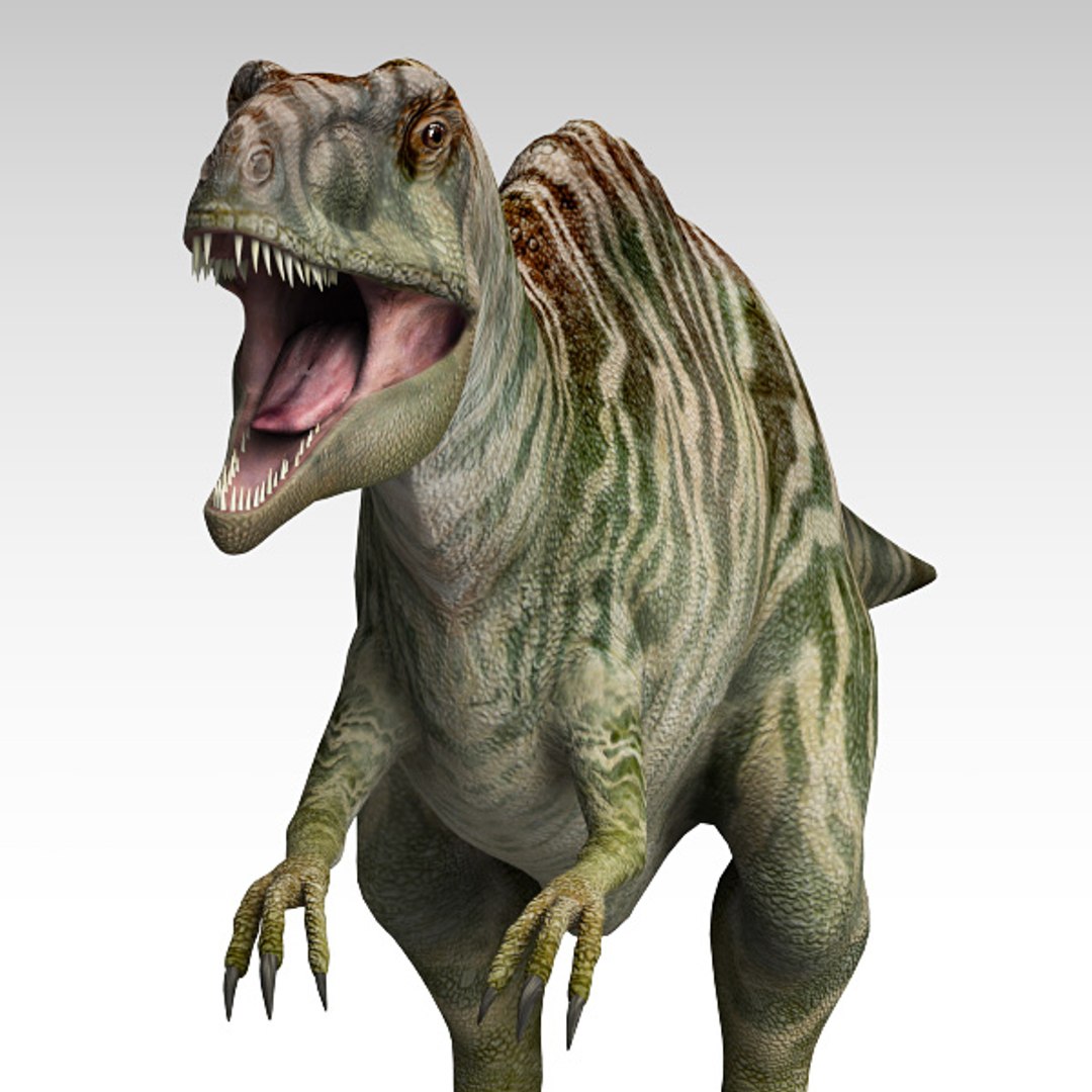 3D Model Albertosaurus Acrocanthosaurus - TurboSquid 1336565