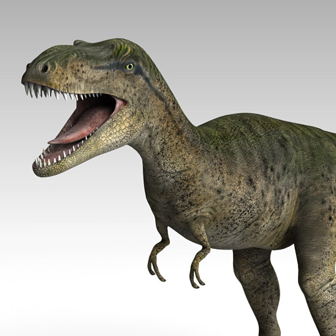 3D Model Albertosaurus Acrocanthosaurus - TurboSquid 1336565