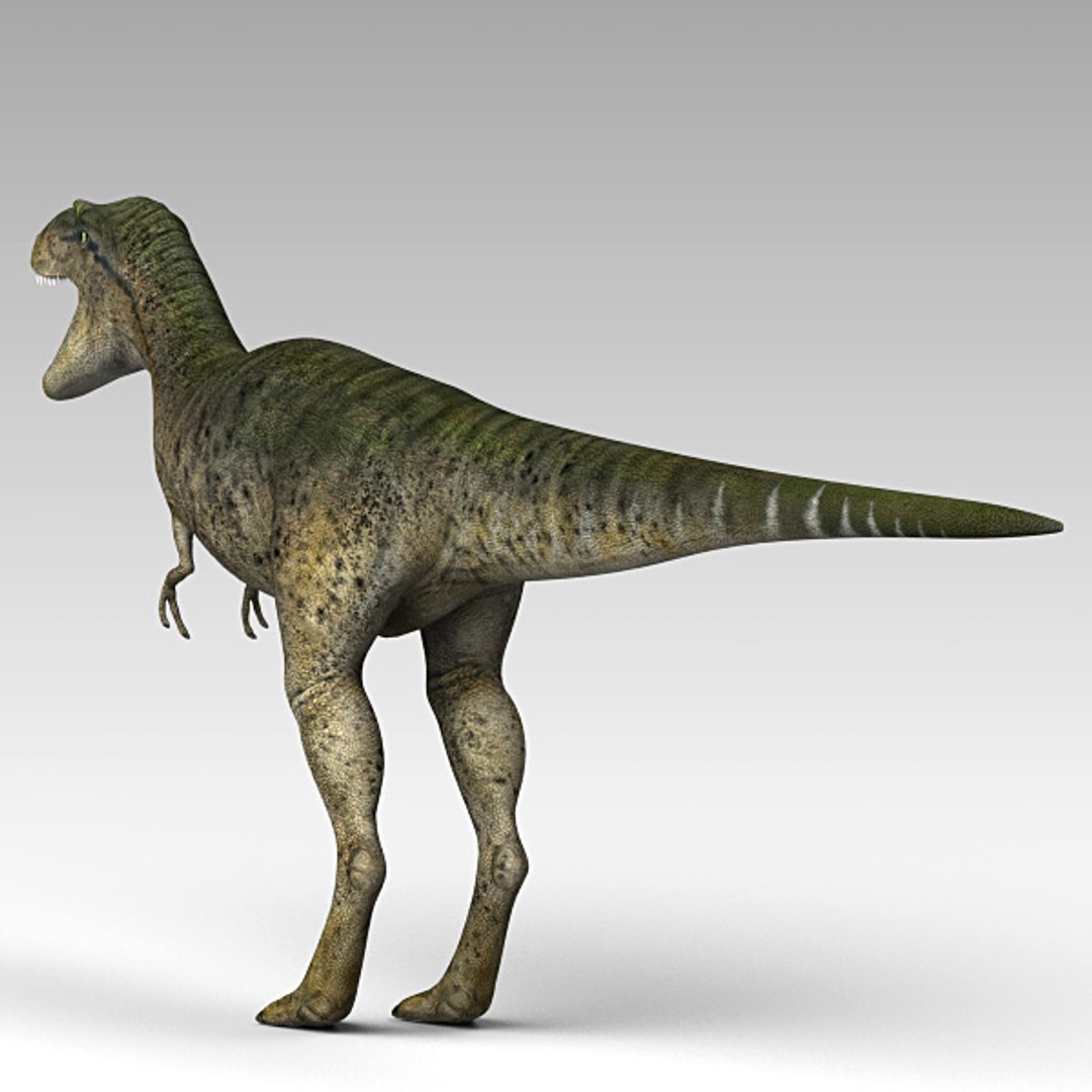 3D Model Albertosaurus Acrocanthosaurus - TurboSquid 1336565