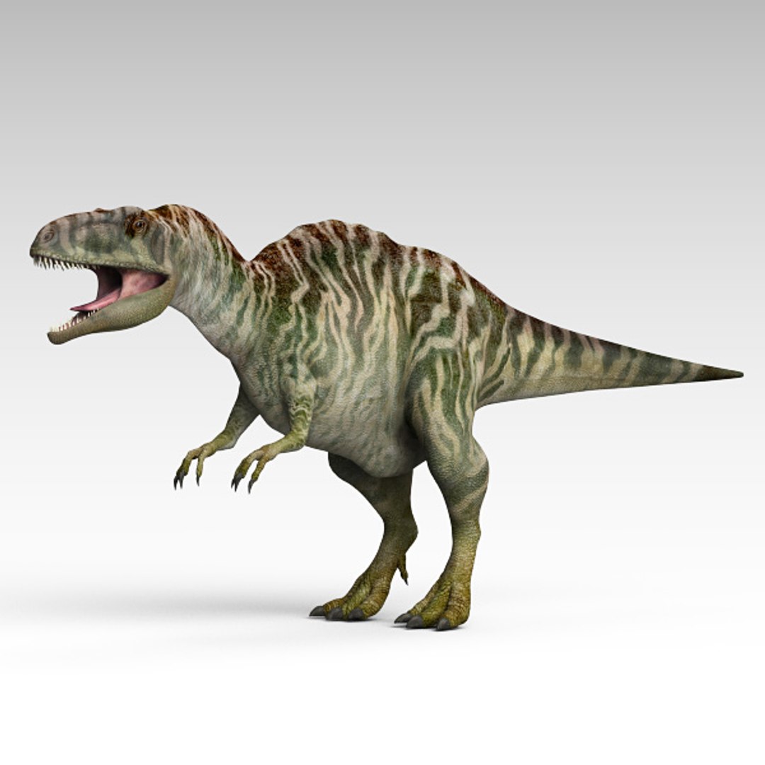 3D Model Albertosaurus Acrocanthosaurus - TurboSquid 1336565
