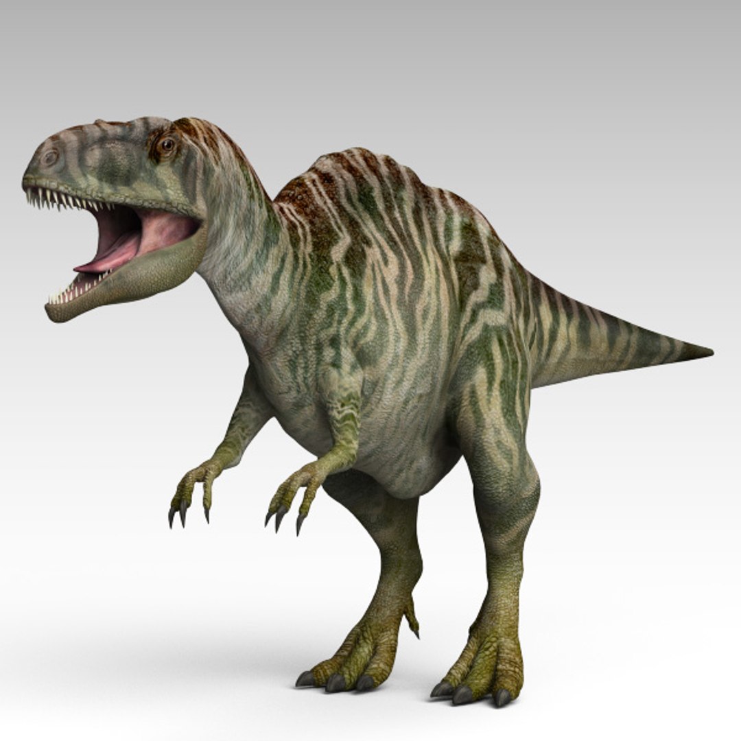 3D Model Albertosaurus Acrocanthosaurus - TurboSquid 1336565
